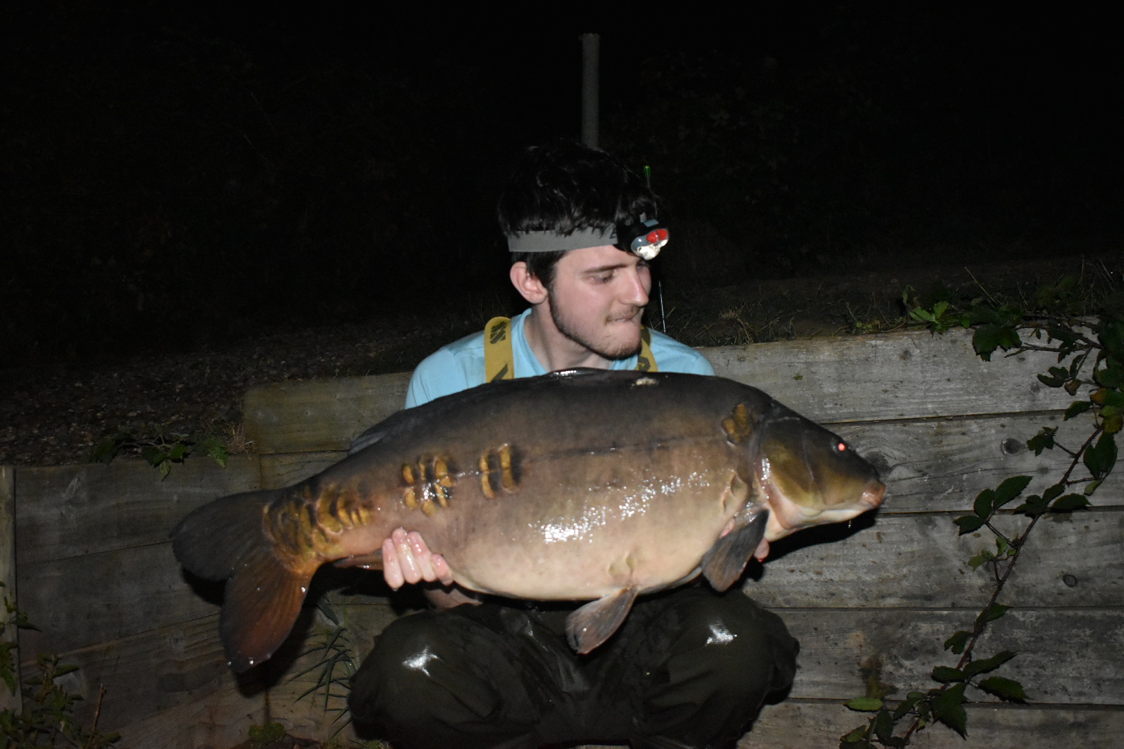 Day ticket | Total Carp